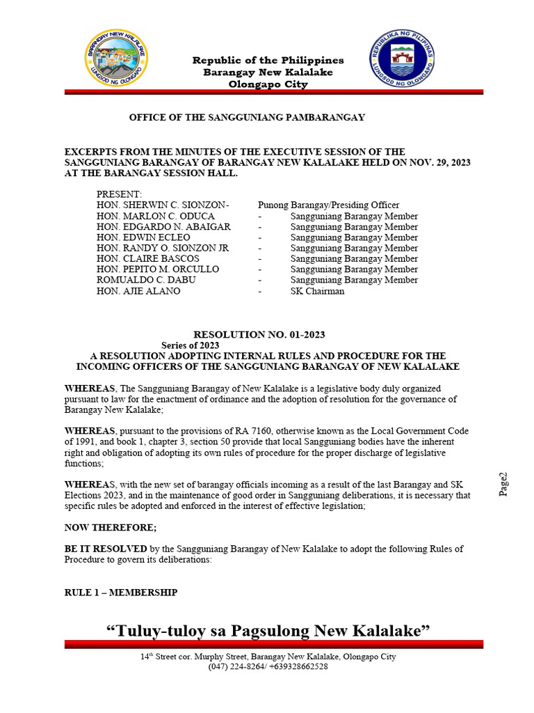 RESO 1 Internal Rules and Procedures | PDF