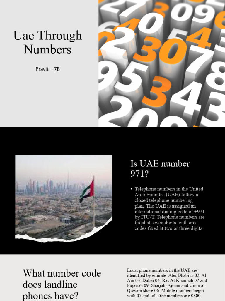 Uae Through Numbers | PDF