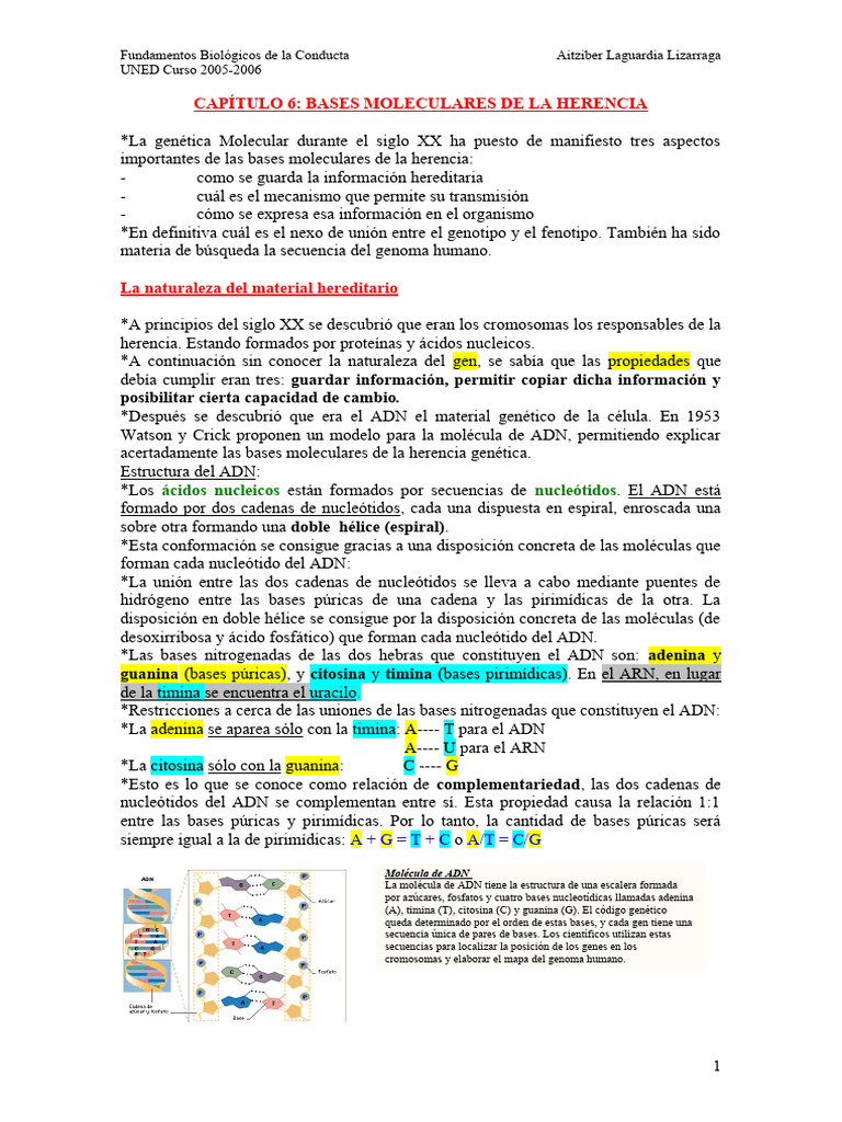 Capitulo 6 | PDF | Rna | Adn
