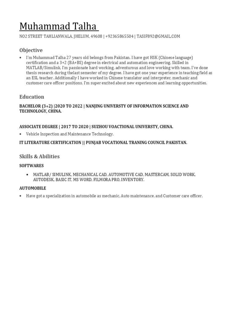 ALI HAMZA CV Final | PDF