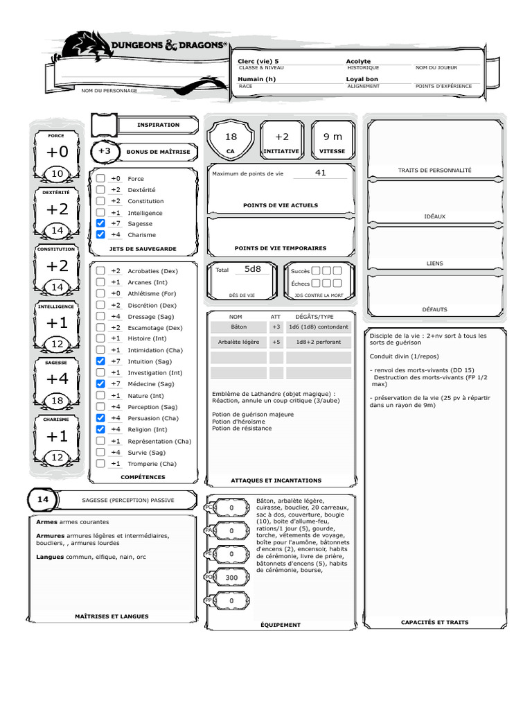 D1D - Fiche Personnage | PDF