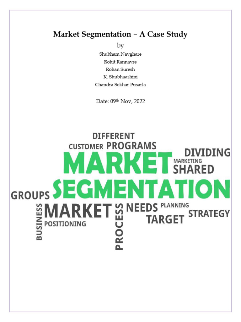 Market Segmentation Insights | PDF