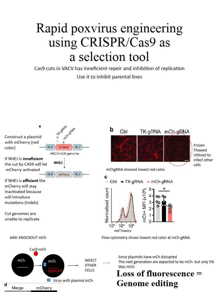 Rapid Poxvirus Engineering Using CRISPR | PDF