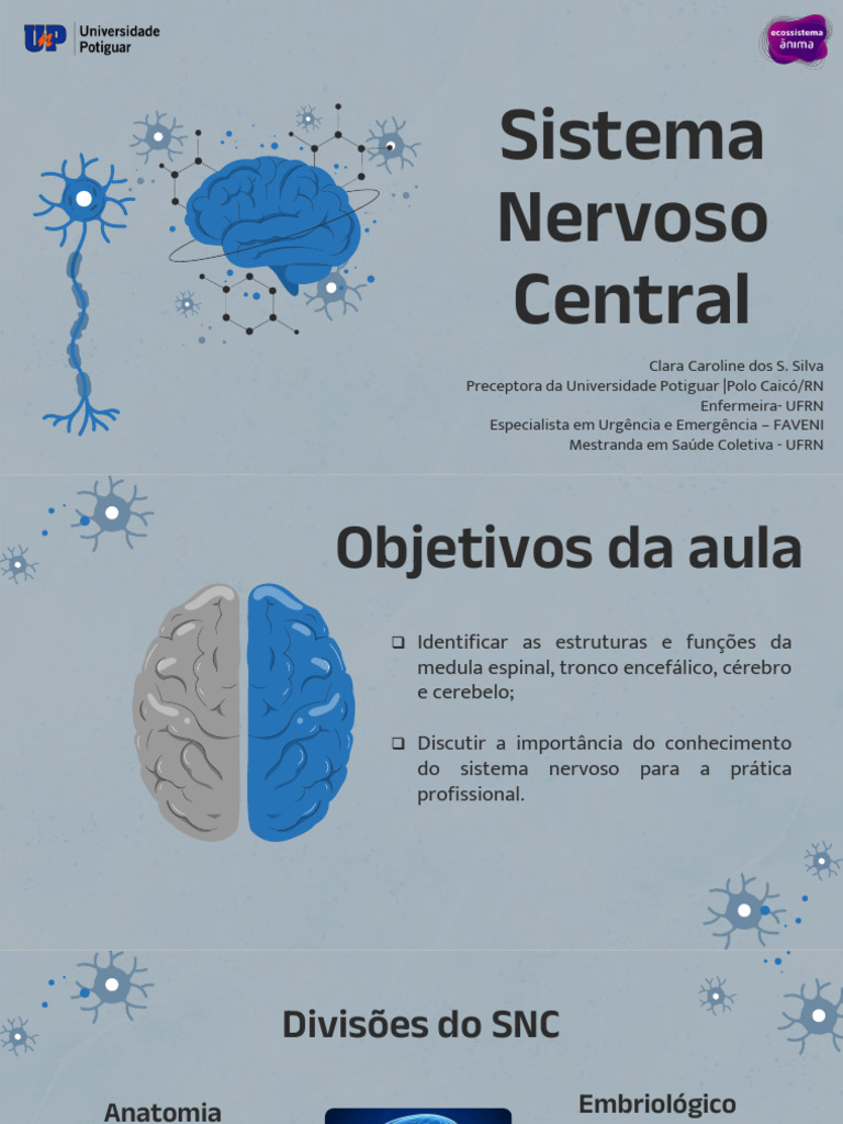 SNC Aula 1 | PDF