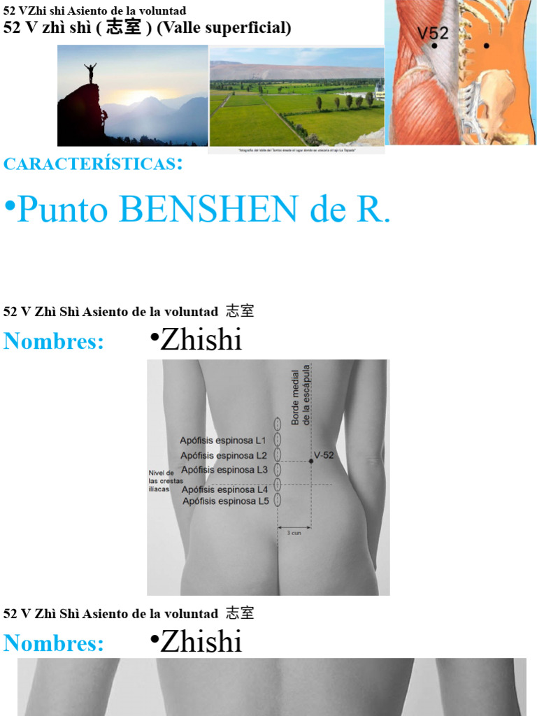 52 V Zhì Shì Asiento de la voluntad 志室 global | PDF | Anatomía humana | Anatomía