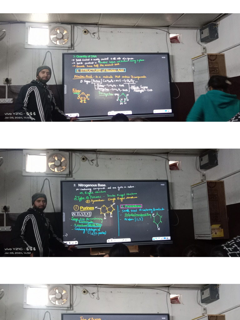 PPTGallery 20240105 152515 | PDF