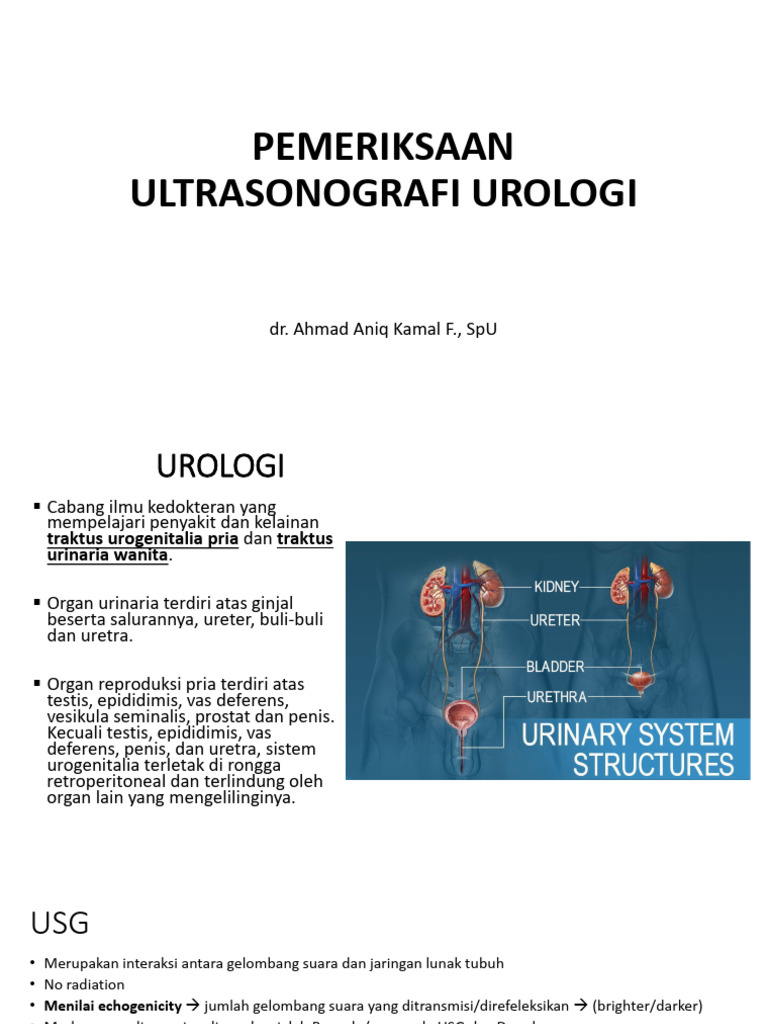 Pemeriksaan Ultrasound Urologi 24 DES 2023 | PDF