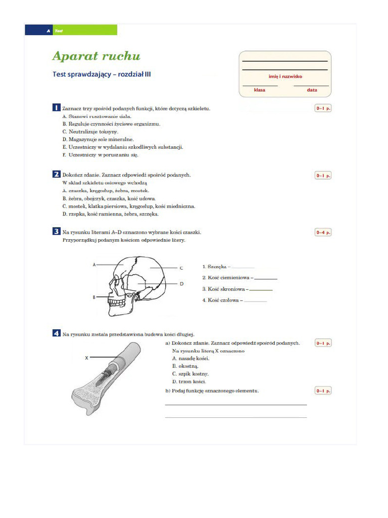 Układ Ruchu - Kl. 7 | PDF