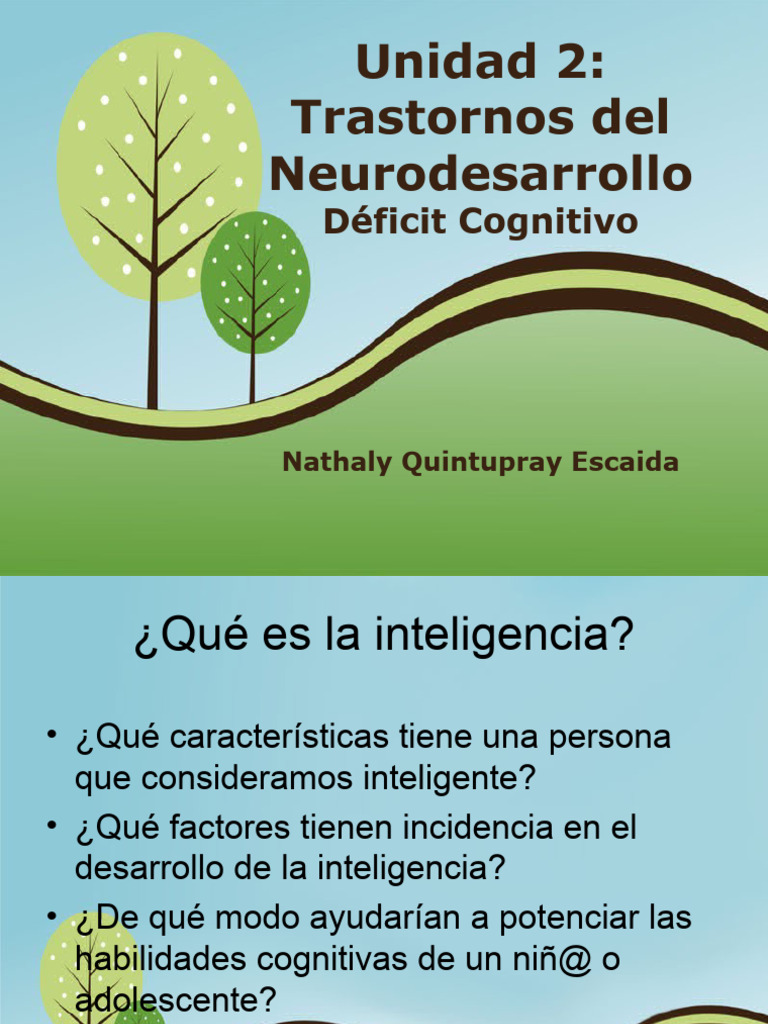 D Ficit Cognitivo | PDF | Discapacidad intelectual | Inteligencia