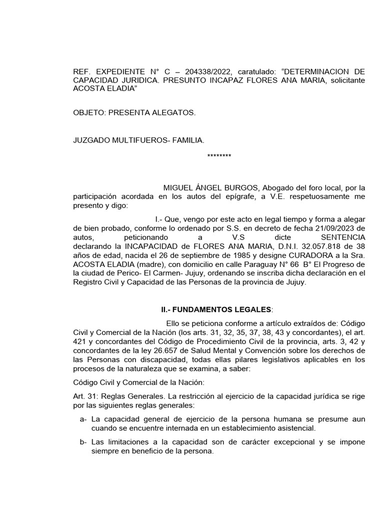 Alegatos - Modelo | PDF