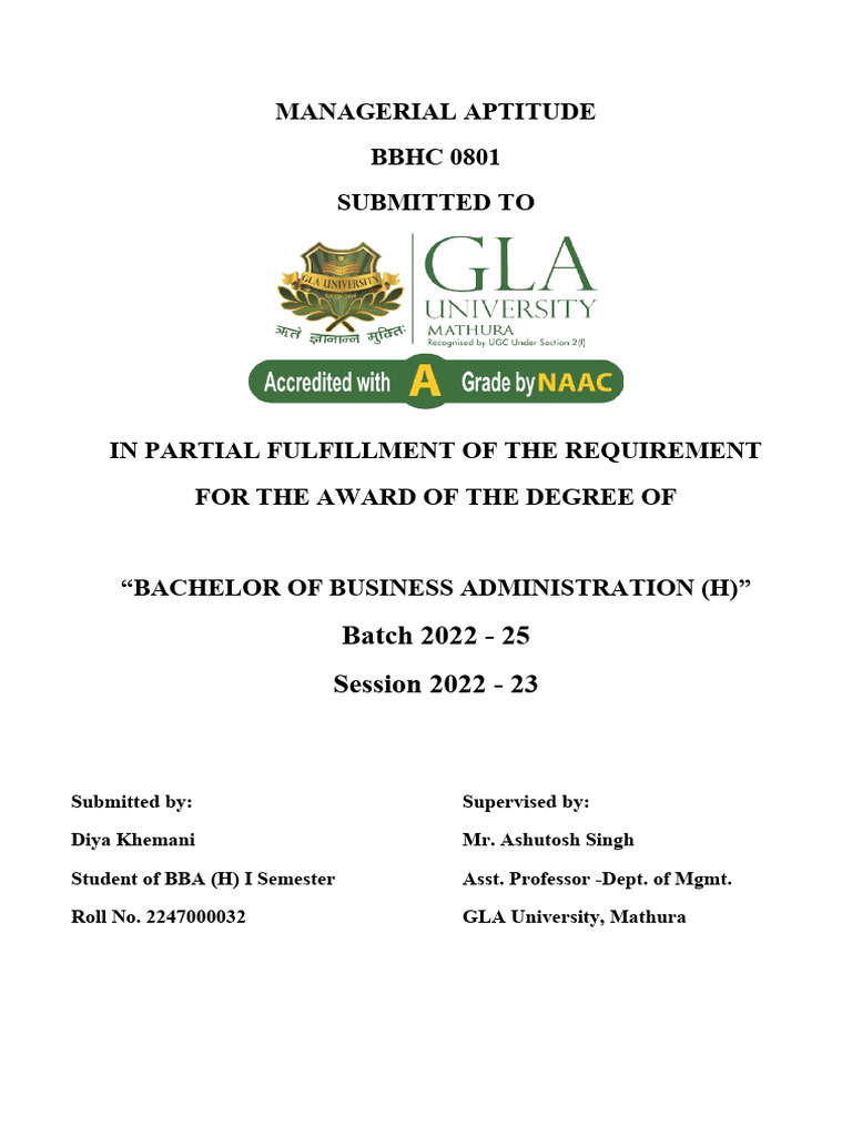 Bba Project File | PDF