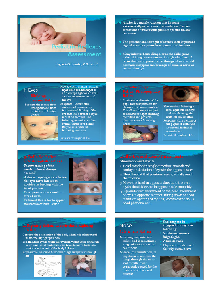 Compilation Reviewer | PDF