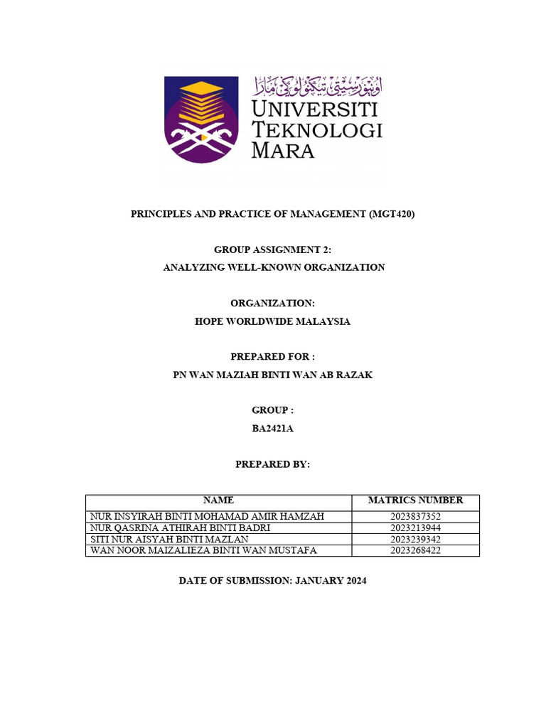 MGT Assignment 2 | PDF