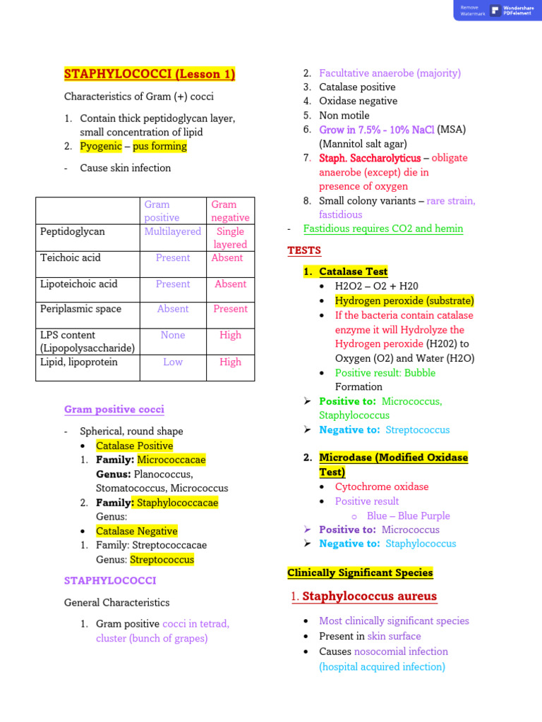 Staph | Download Free PDF | Staphylococcus | Staphylococcus Aureus