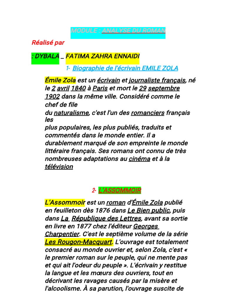 Analyse Du Roman | PDF