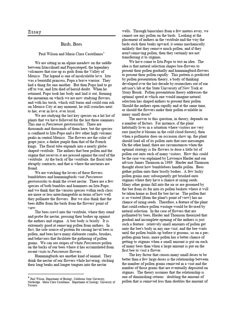 Essays&Stories | PDF