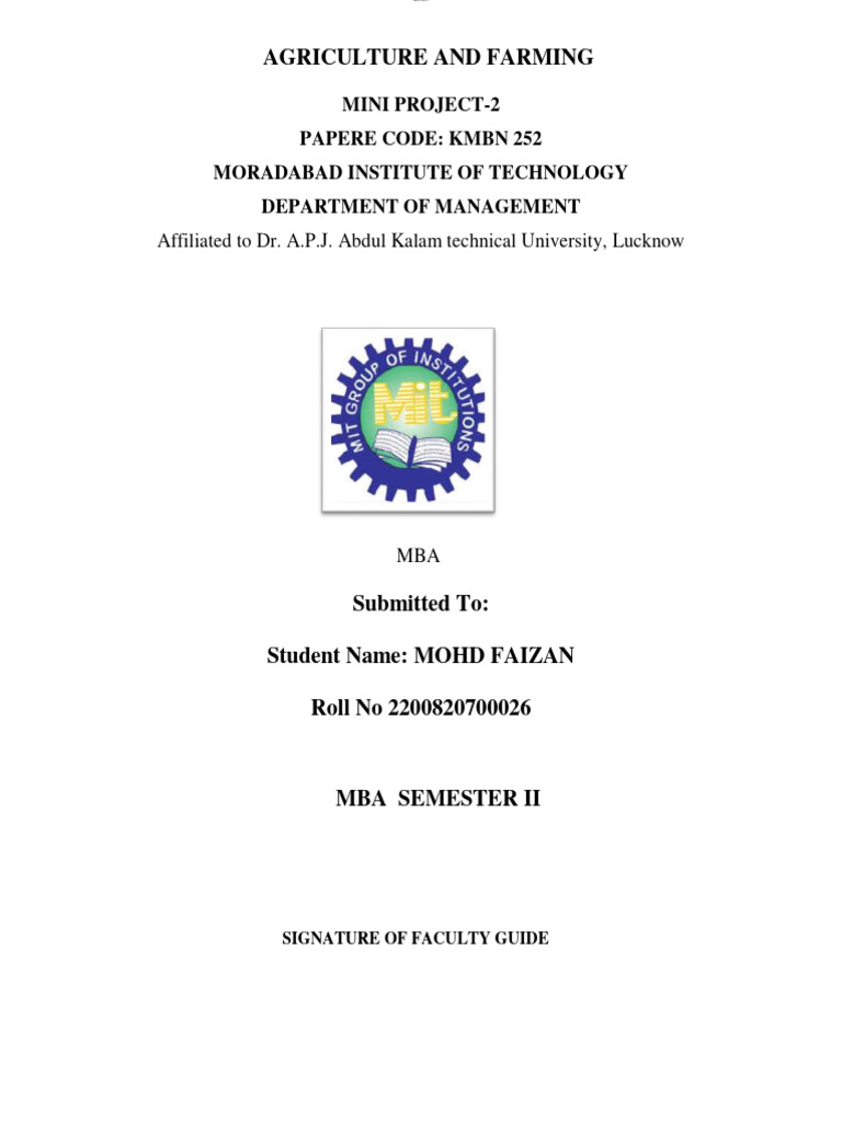 Faizan Mini Project Mba | PDF