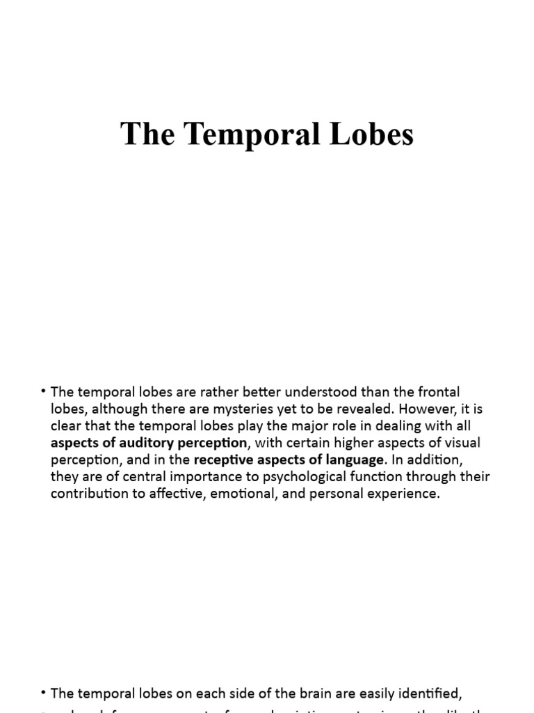 4 - The Temporal Lobes | PDF
