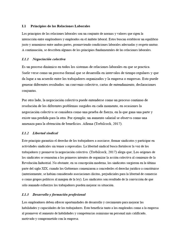 Principios de Las Relaciones Laborales | PDF | Derecho laboral | Relaciones laborales