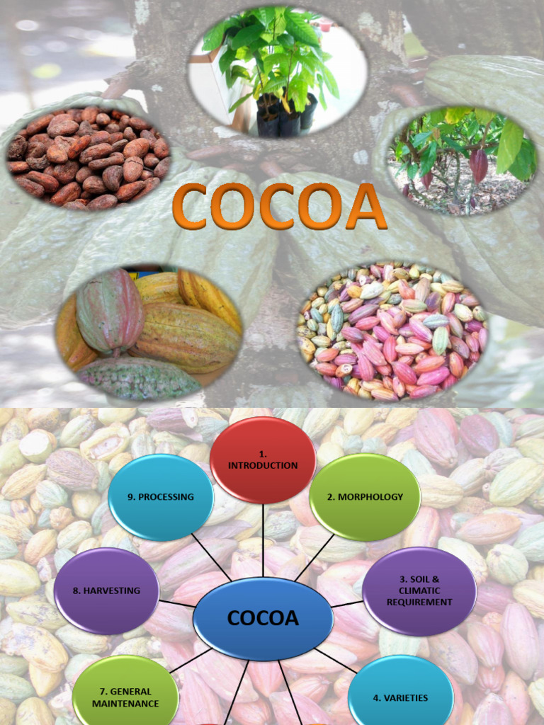 Overview of Cocoa Farming Practices | PDF