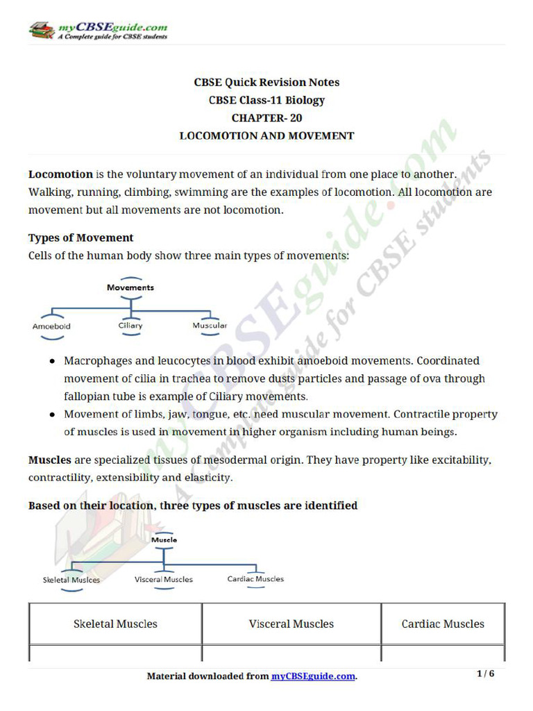 11 Biology Notes ch20 Locomotion and Movement | PDF