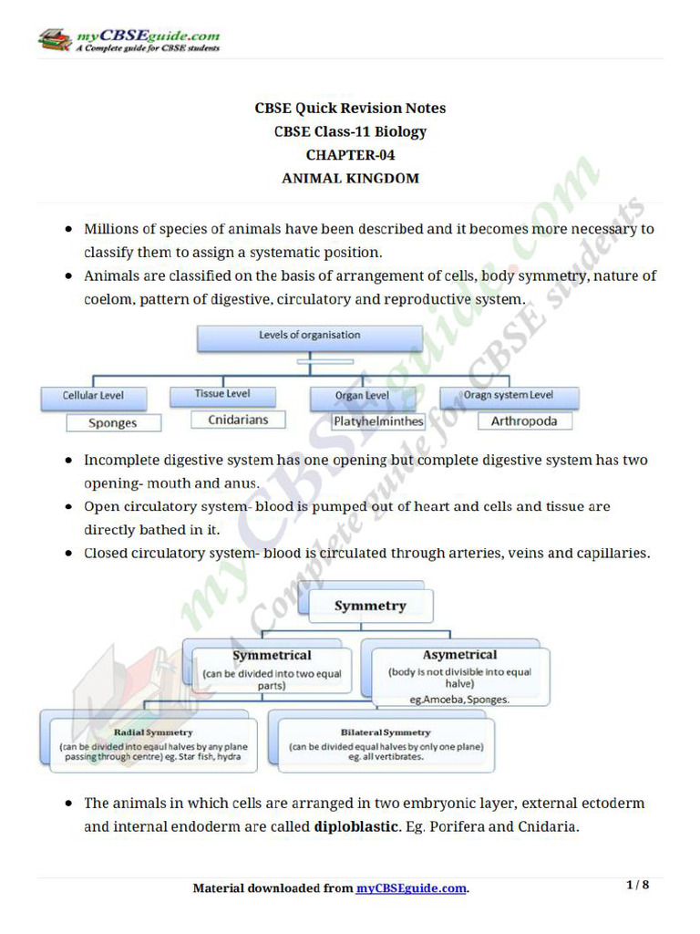 11 Biology Notes Ch04 Animal Kingdom | PDF
