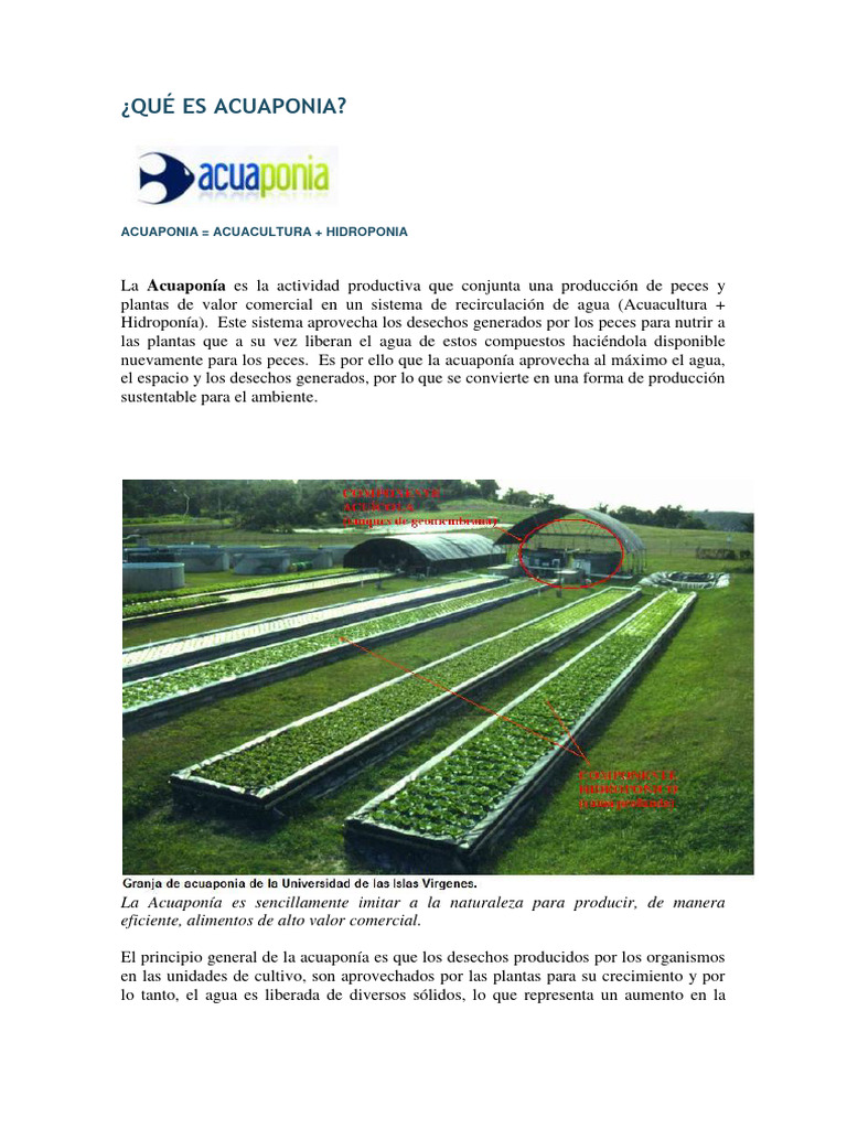 ACUAPONIA conceptos basicos | PDF | Acuaponia | Ciencias de la Tierra