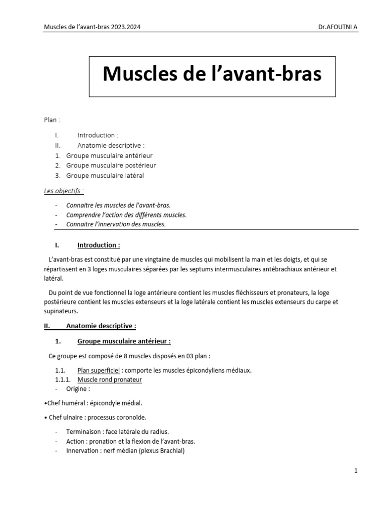 Anatomie des muscles de l'avant-bras | PDF | Anatomie humaine | Tissu mou
