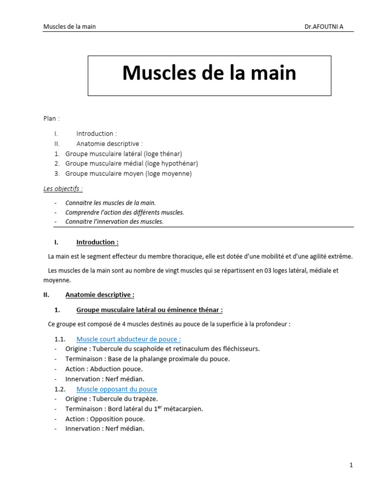 17-Muscles de La Main | PDF