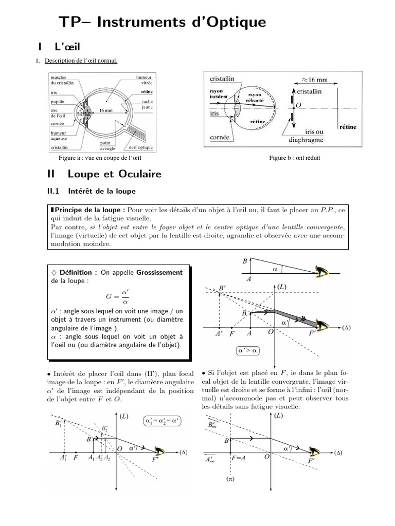 Instruments d'Optique et Lunettes | PDF | Œil humain | Vision