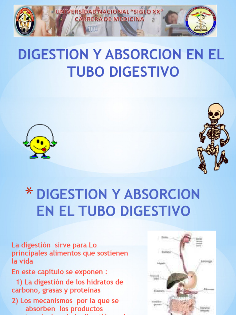 Digestión y Absorción en el Tubo Digestivo | PDF | Digestión | Bilis