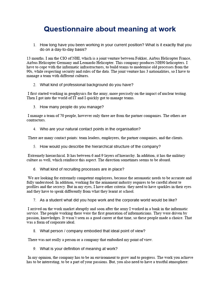Questionnaire About Meaning at Work | PDF