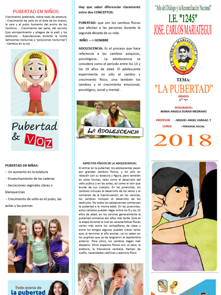 TRIPTICO El Amor y La Amistad | PDF