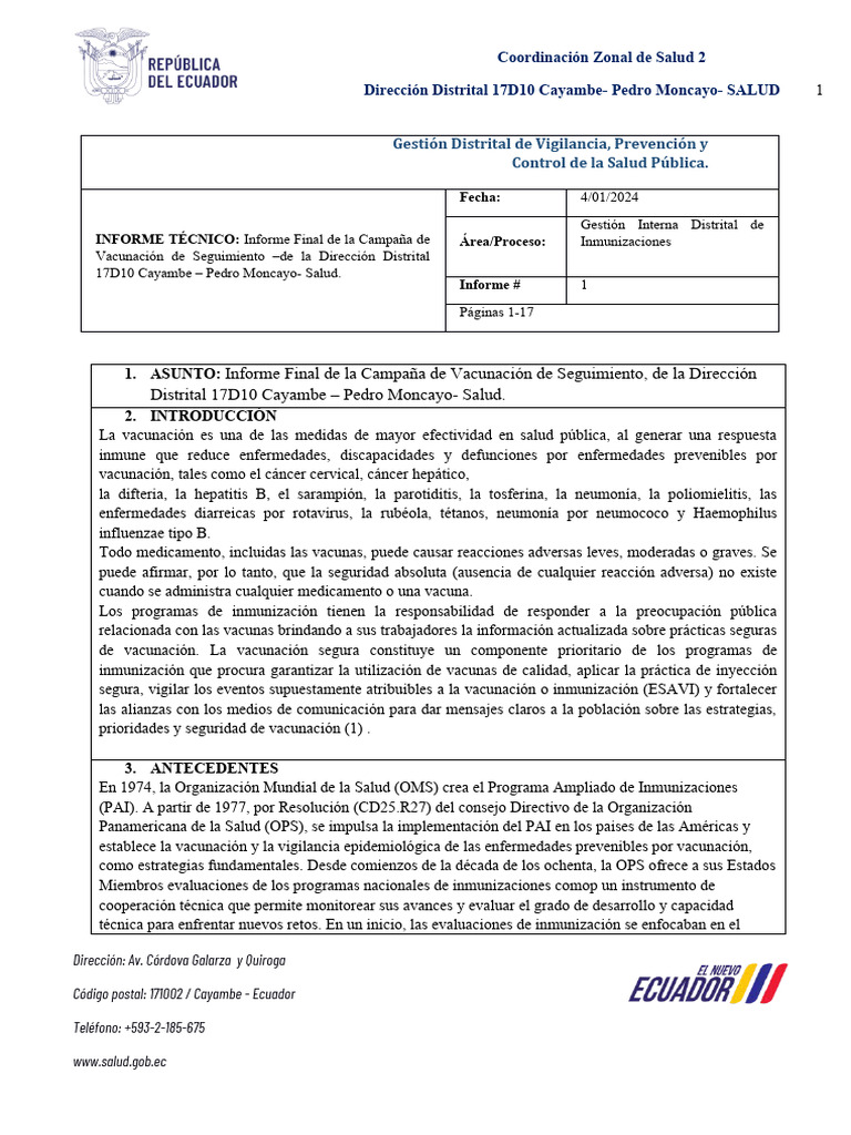Informe Final Cvs 17d10 | PDF