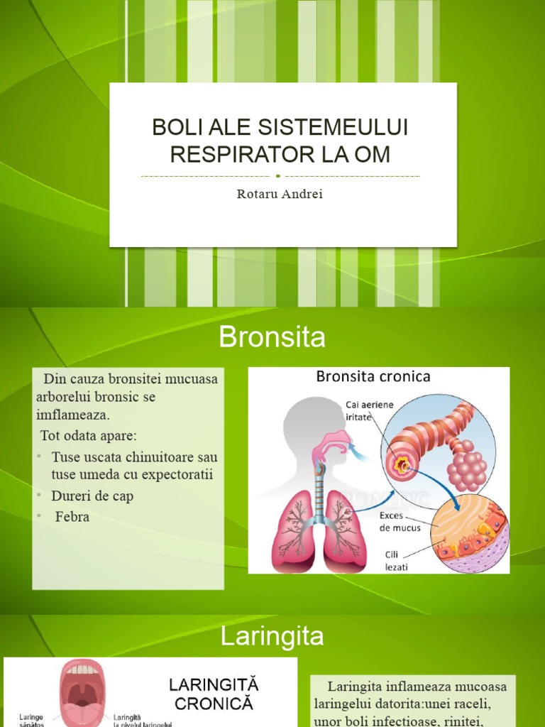 Bolile Respiratorii La Om Rotaru Andrei (1) | PDF