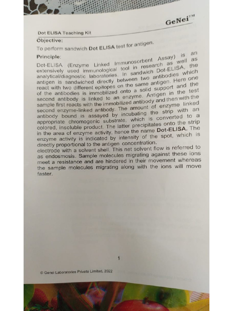 Dot Elisa | PDF