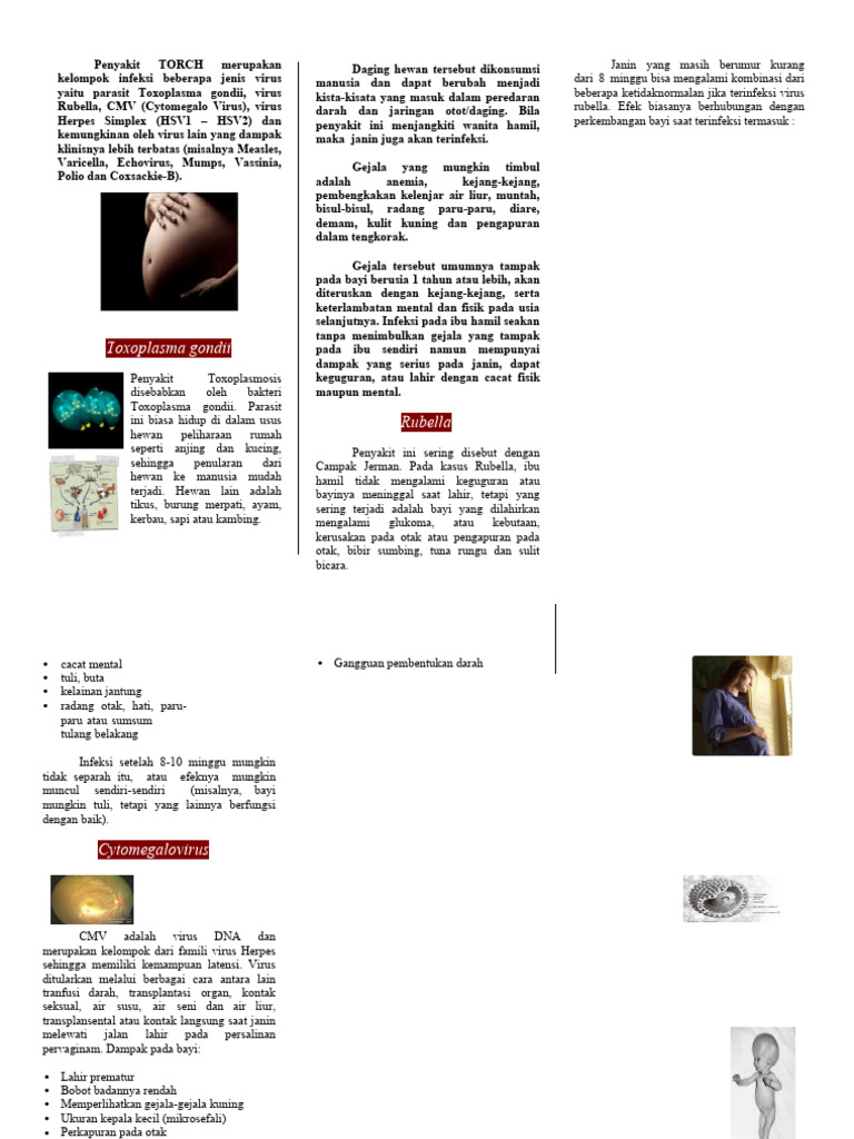 Leaflet Infeksi TORCH | PDF