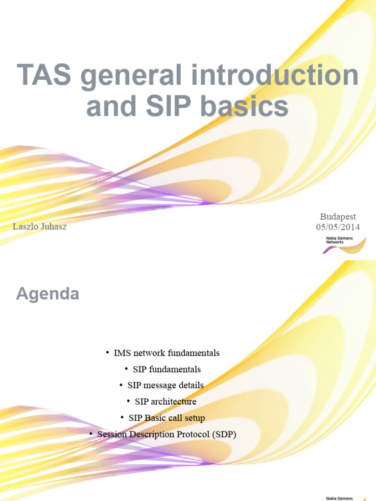 Sip Basic SyVe | PDF