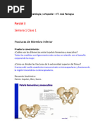 Fracturas de Cotilo | PDF | Pelvis | Sistema esquelético