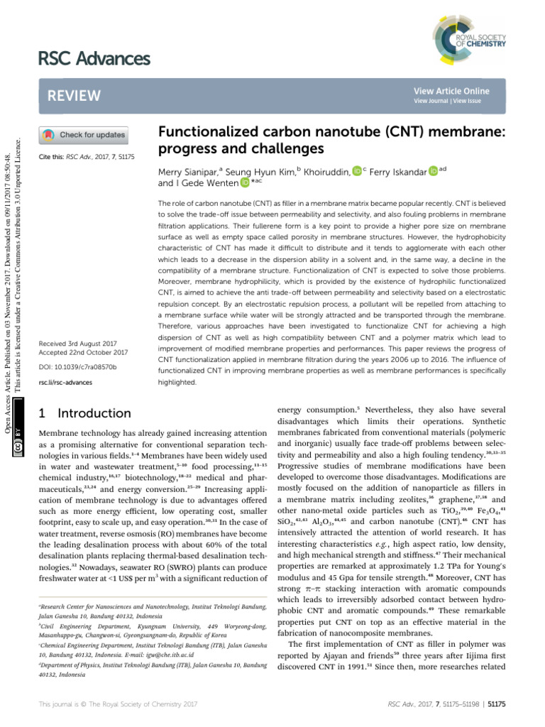 RSC Advances: Review | PDF