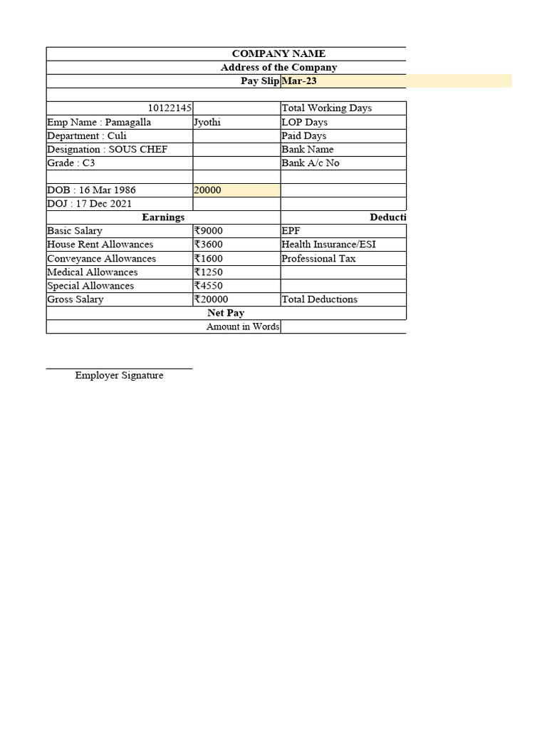 Salary Slip Format for 20,000 INR | PDF