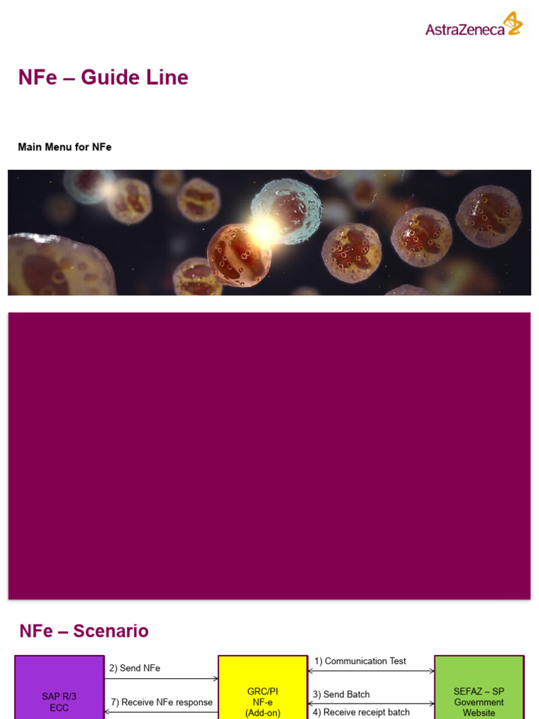 SAP NFe Implementation Guide | PDF