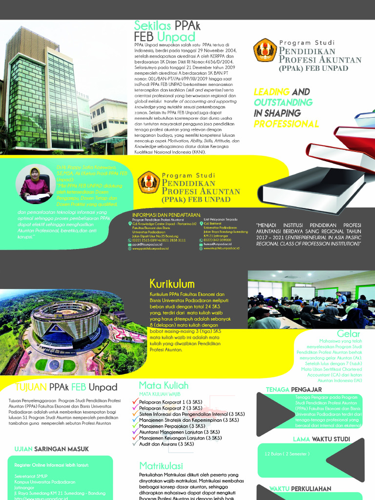 FEB Profesi Program Profesi Akuntan PPAk | PDF