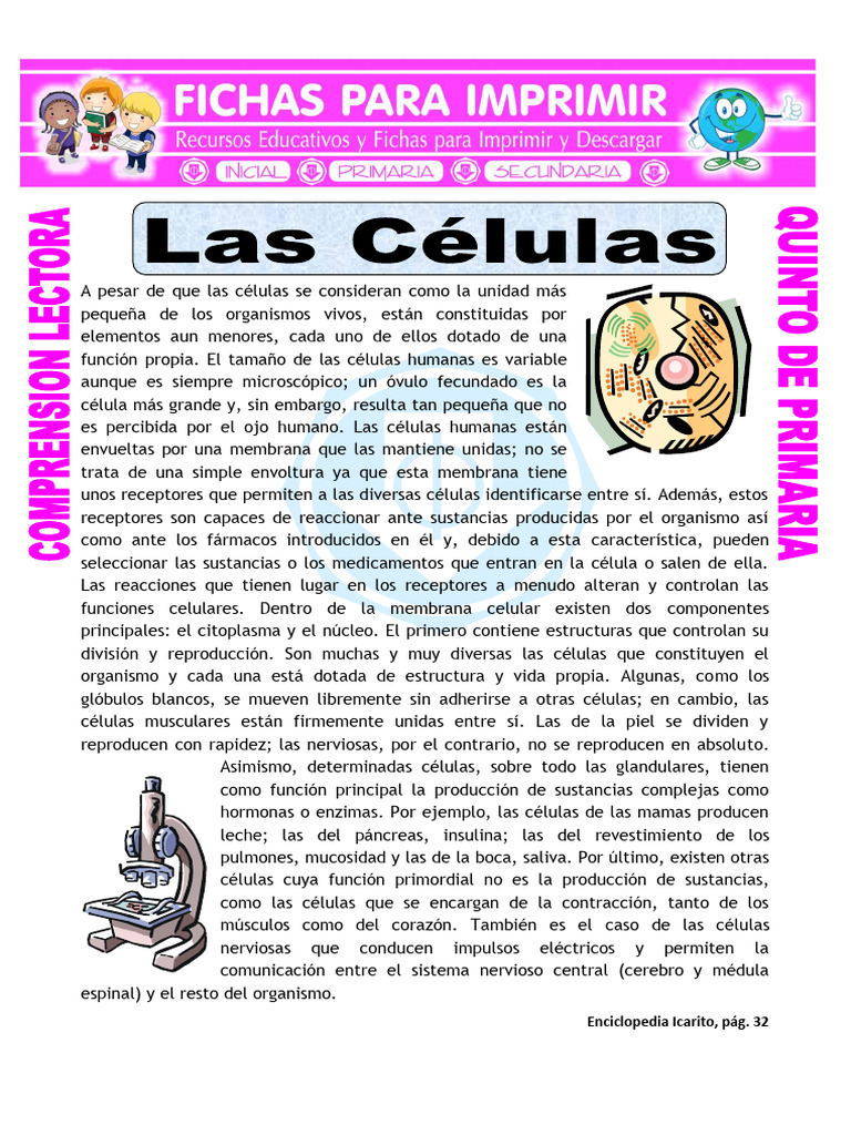 Ficha Las Celulas para Quinto de Primaria | PDF
