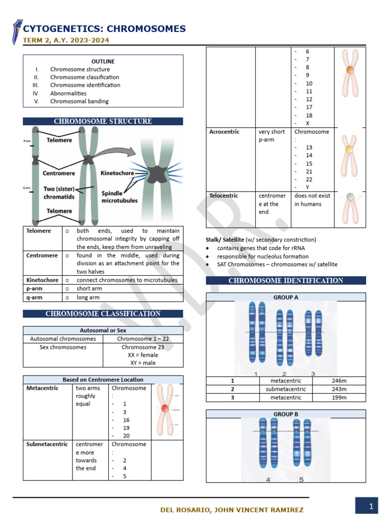3.CYTO-CHROMOSOMES-MED228 | PDF | Chromosome | Biology