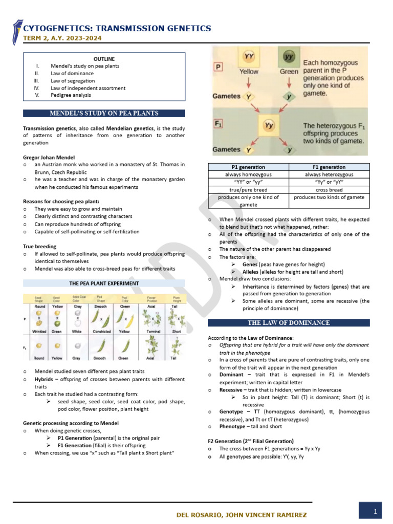 5.cyto Transmission Med228 | PDF | Dominance (Genetics) | Genotype
