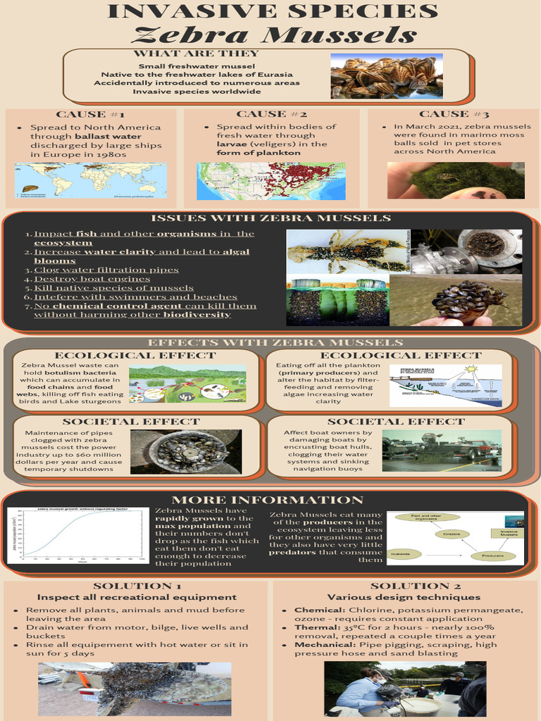 Invasive Species - Zebra Mussels | PDF