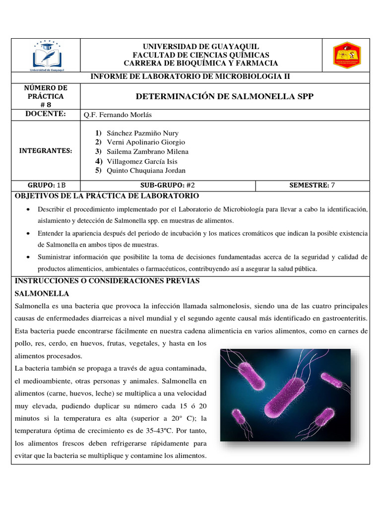 Informe 8 g1b Microii | PDF