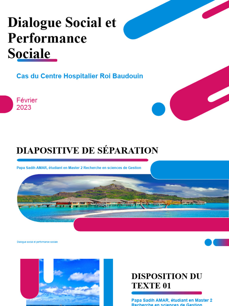 Dialogue Social Et Performance Sociale Hosp | PDF | Affaires | Maison et jardin
