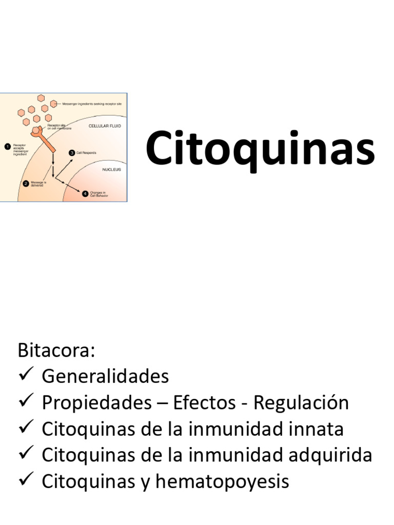Citoquinas | PDF | Citocina | Sistema inmune